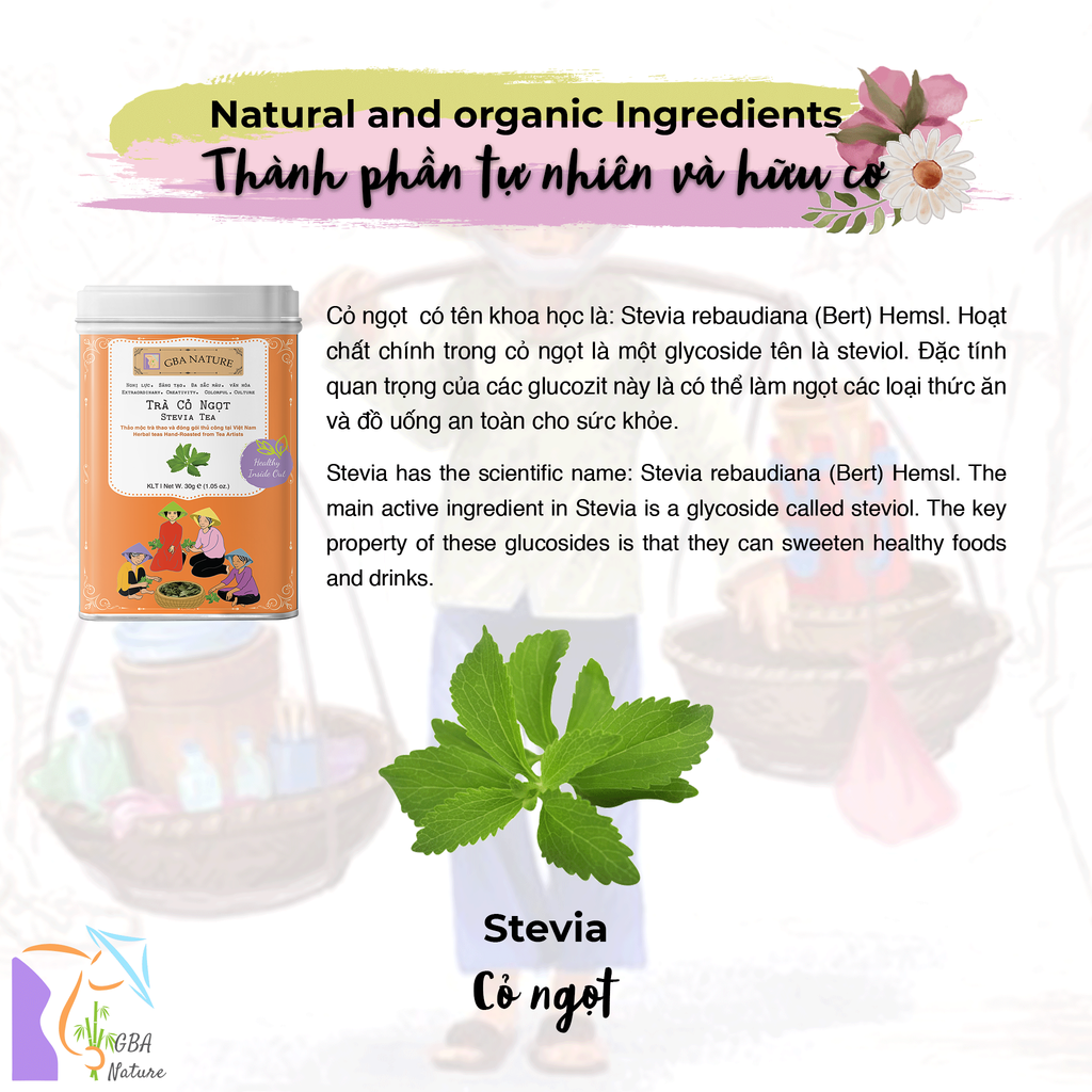 Stevia Tea – GBA Nature